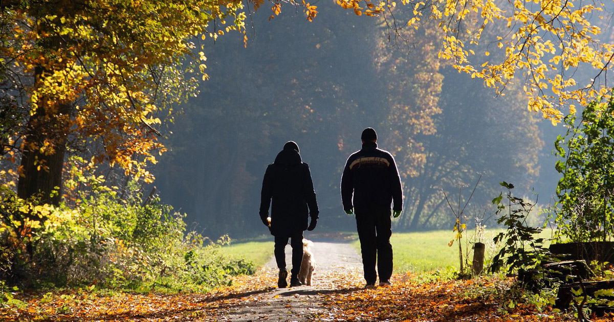 Explore the beauty of nature: The most beautiful walking...